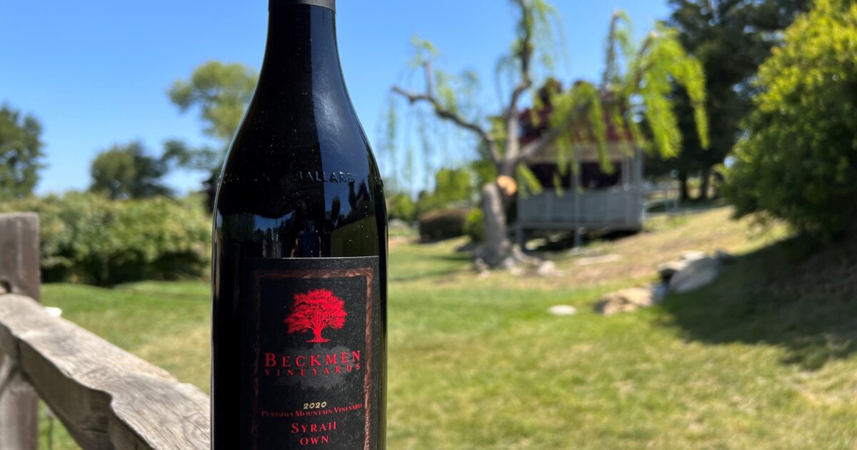 Beckmen Vineyards | The Roots of our Newest Syrah