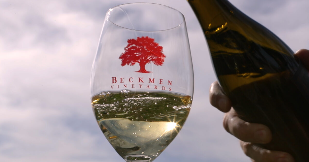 Beckmen Vineyards | Whites
