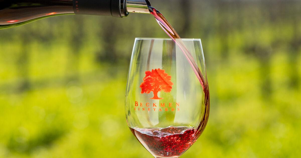 Beckmen Vineyards | Cyber Monday